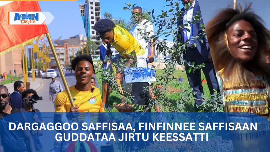 Dargaggoo Saffisaa, Finfinnee Saffisaan Guddataa Jirtu Keessatti - AMN ...